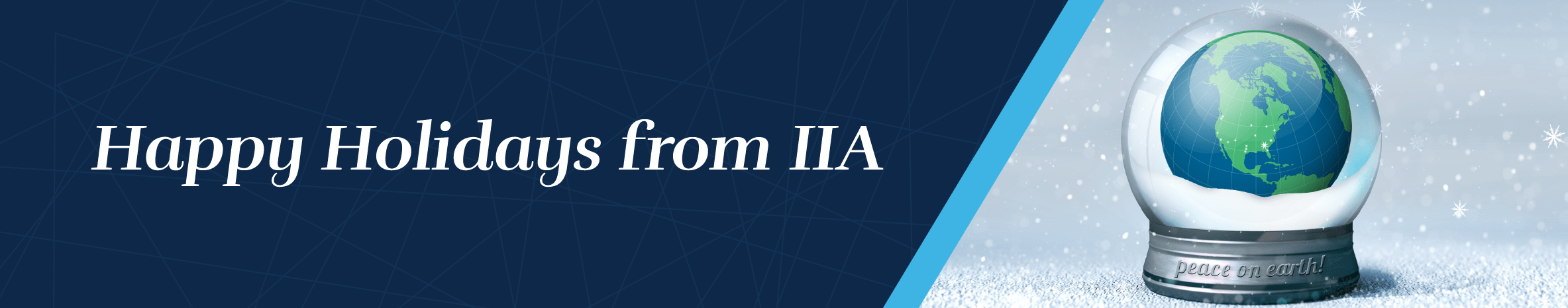 Welcome to IIA - Industrial Inspection & Analysis (IIA)